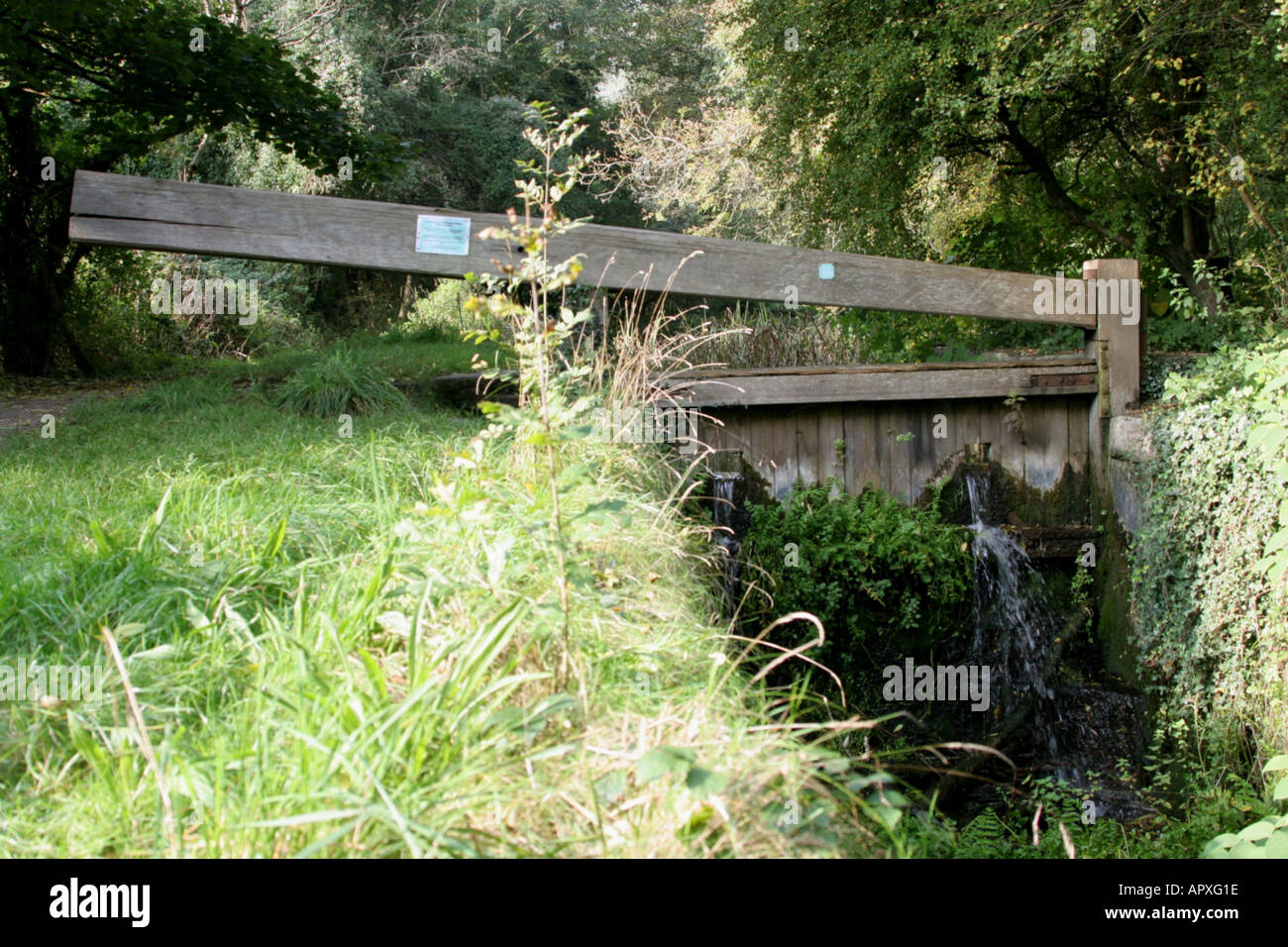 Glamorganshire canal nature reserve hi-res stock photography and images ...