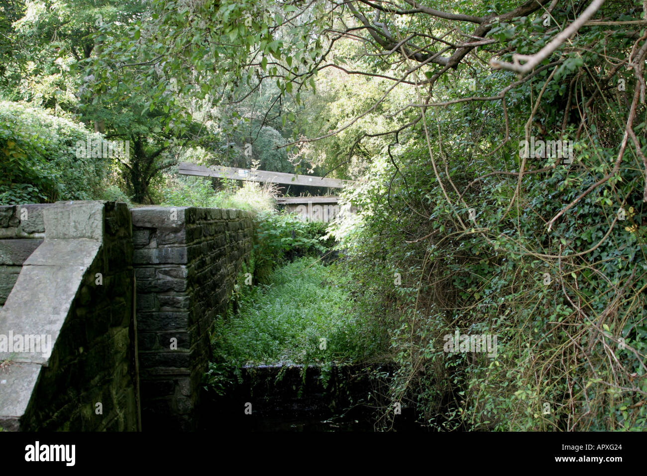 Glamorganshire canal hi-res stock photography and images - Alamy