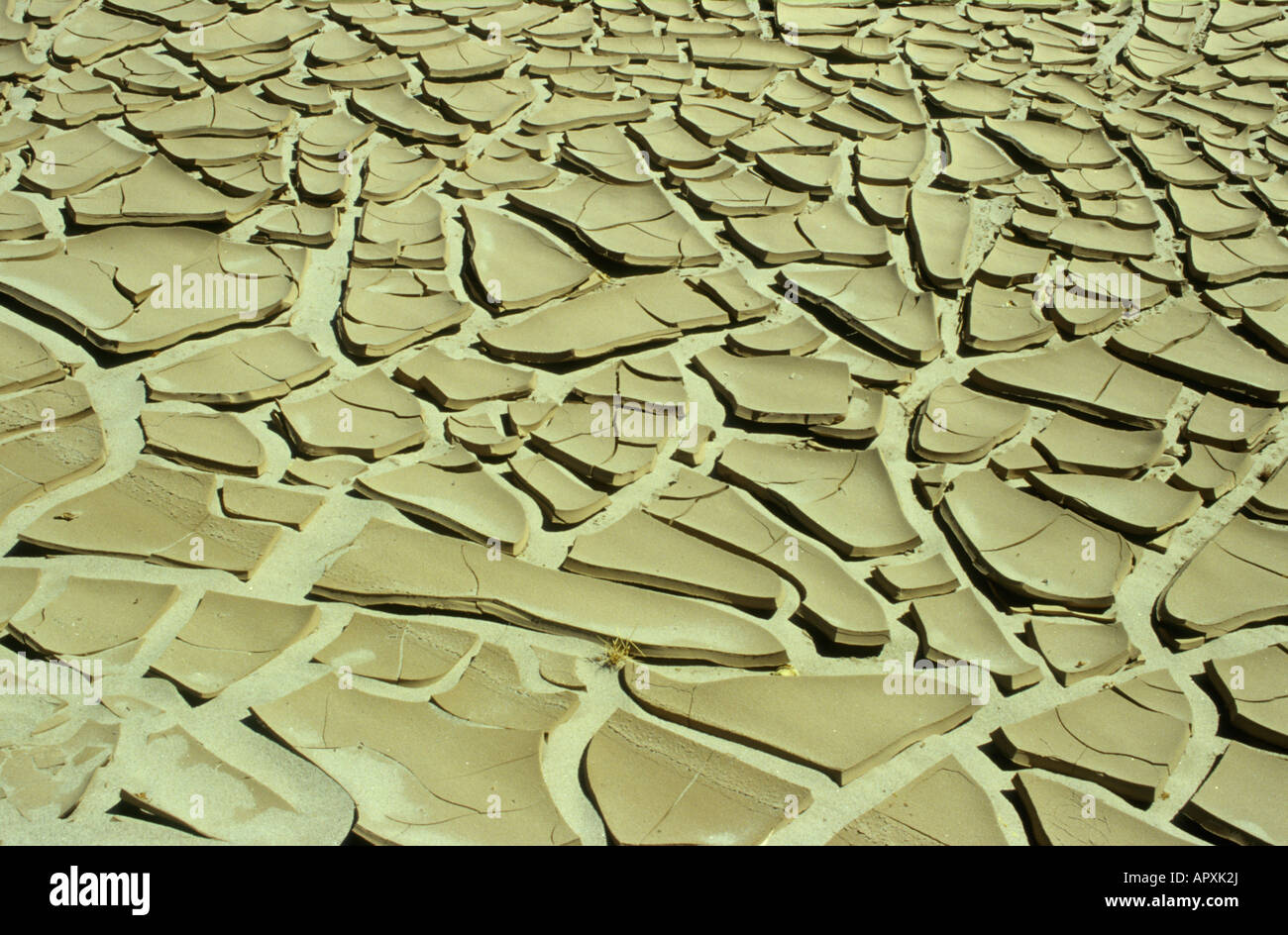 Cracked dried river clay bed hi-res stock photography and images - Alamy