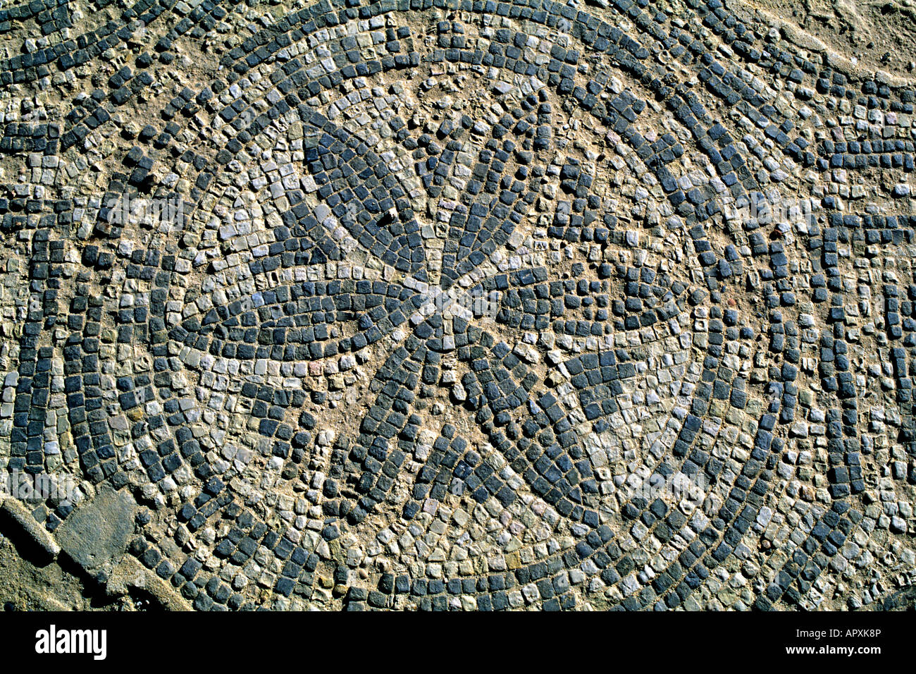 Flower mosaic roman hi-res stock photography and images - Alamy