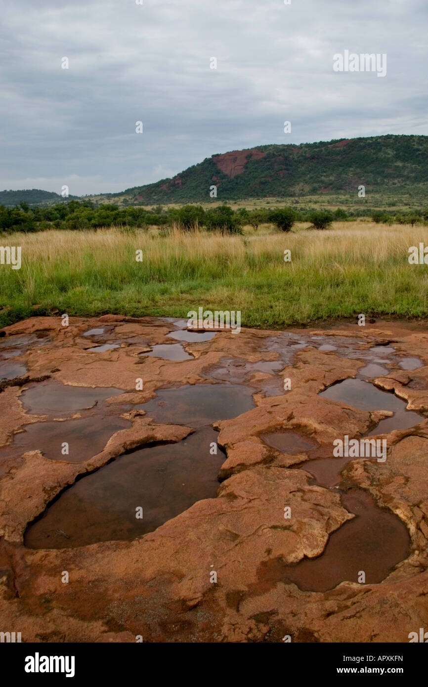 Rain-filled rock pools in Pilanesberg after early morning rain Stock ...