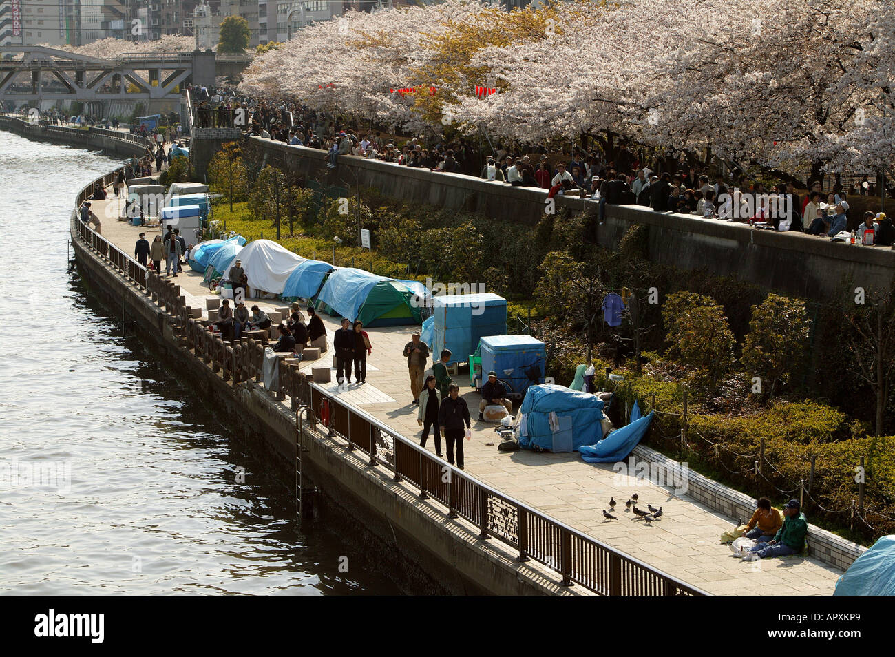 Homeless, living boxes in Tokyo, Japan, Homeless community on the banks ...