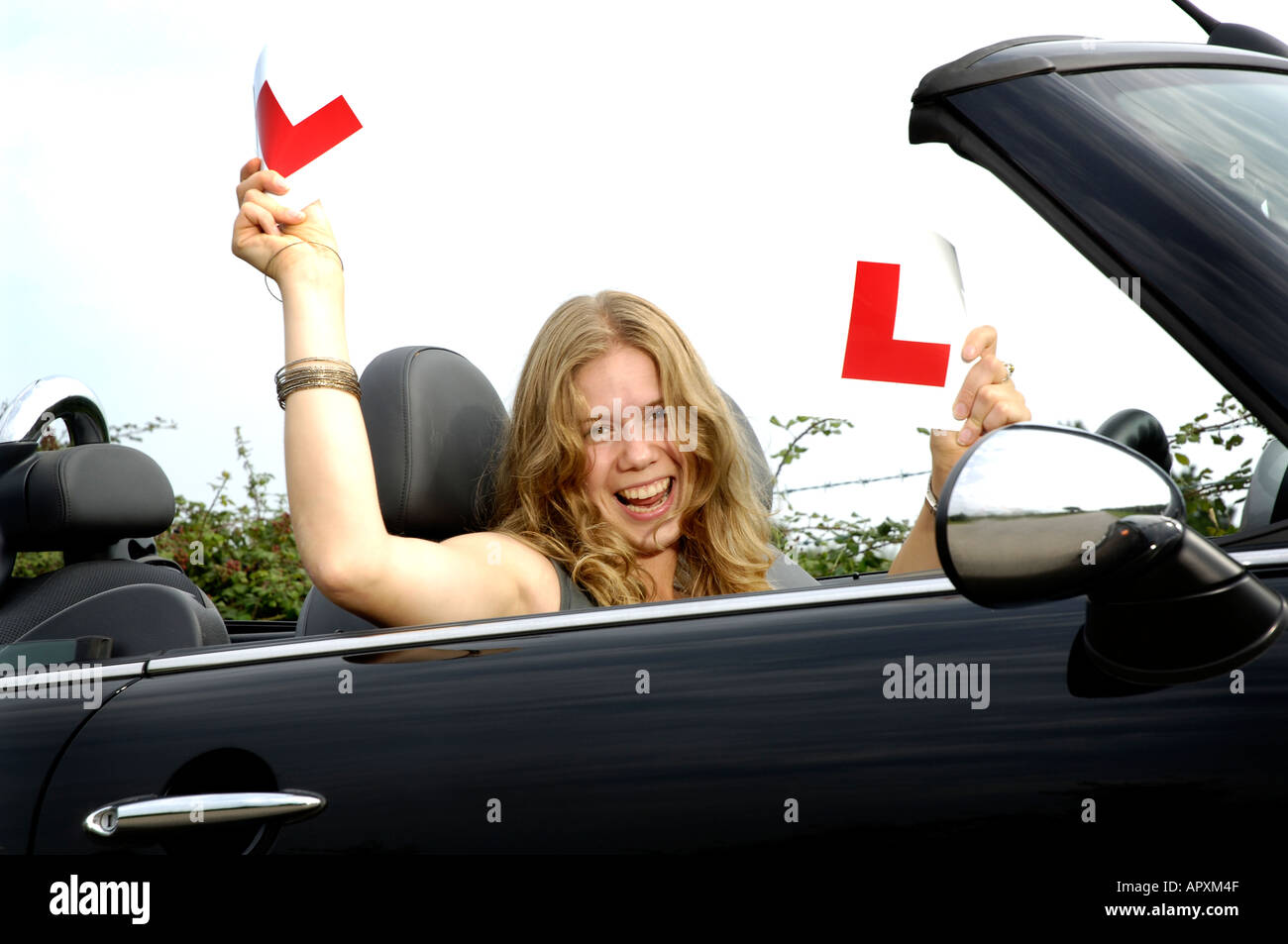 Driving test pass hi-res stock photography and images - Alamy
