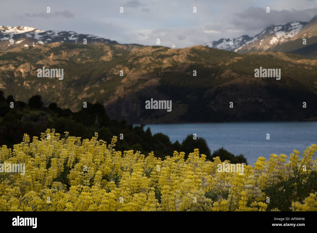 View across Lake General Carrera Andes Mountains Patagonia Chile Stock ...