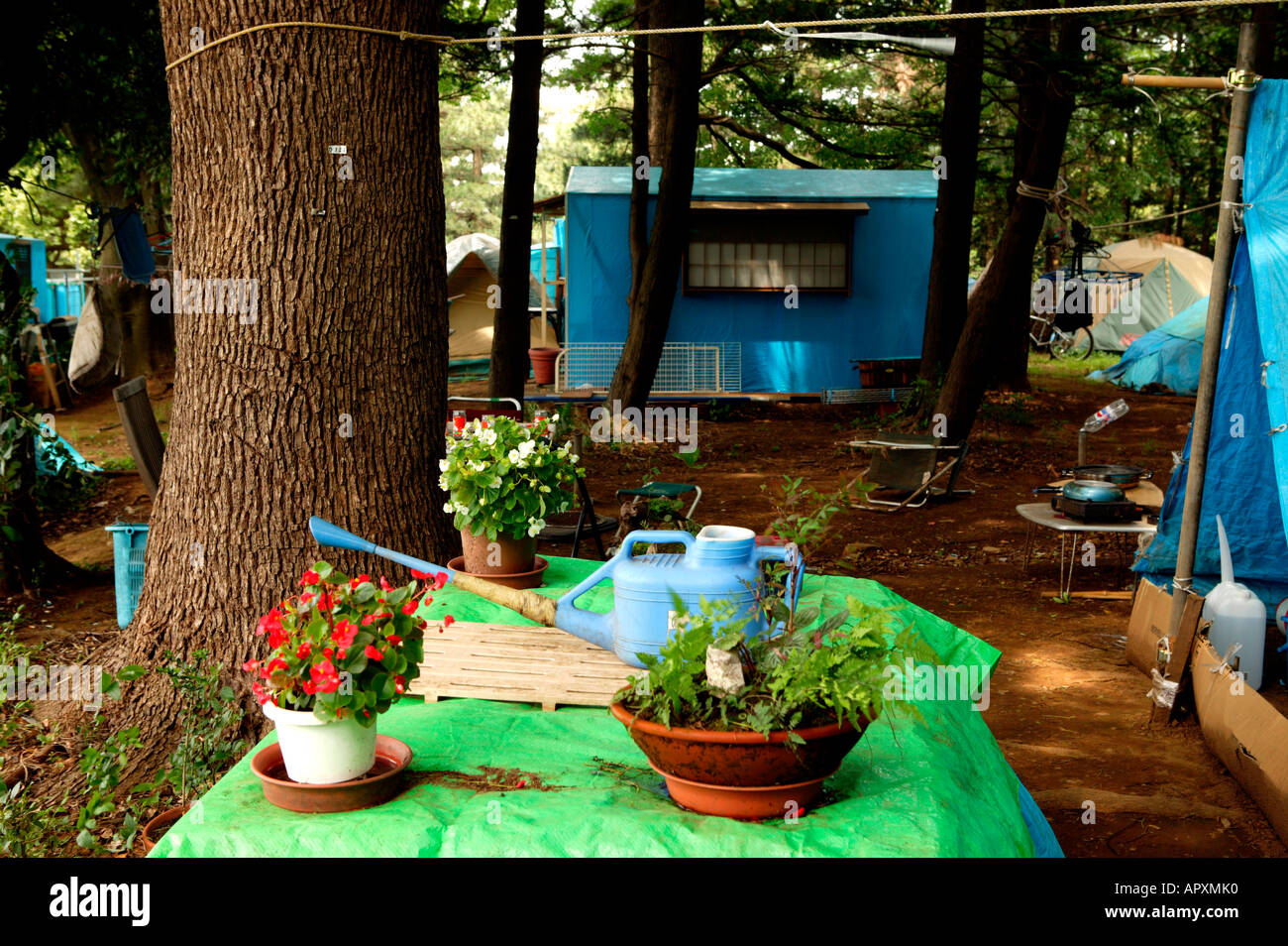 Homeless in japan hi-res stock photography and images - Alamy
