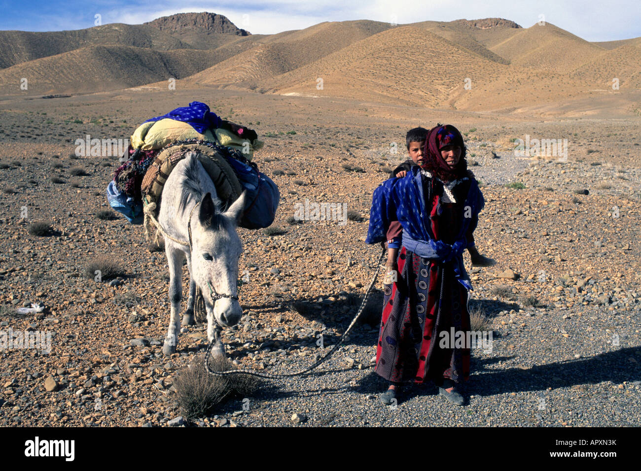 Nomadic Berber mother child and donkey carry their load in the Atlas ...