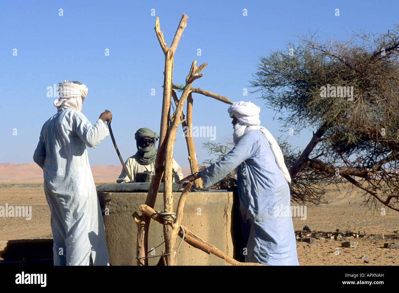 Tuareg men drawing water from a well Stock Photo - Alamy