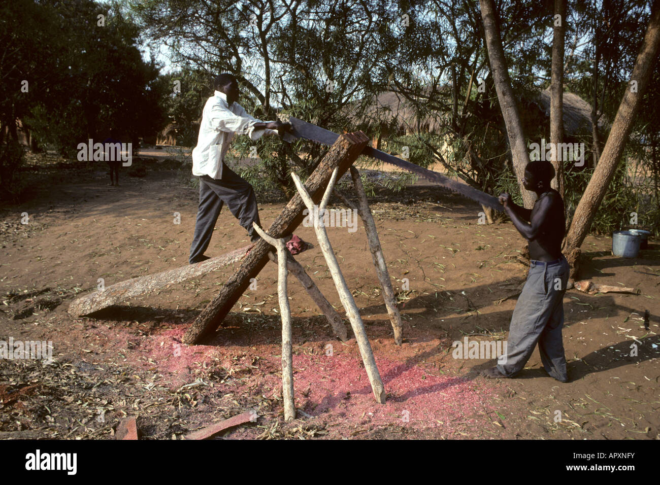 Two men sawing log hi-res stock photography and images - Alamy