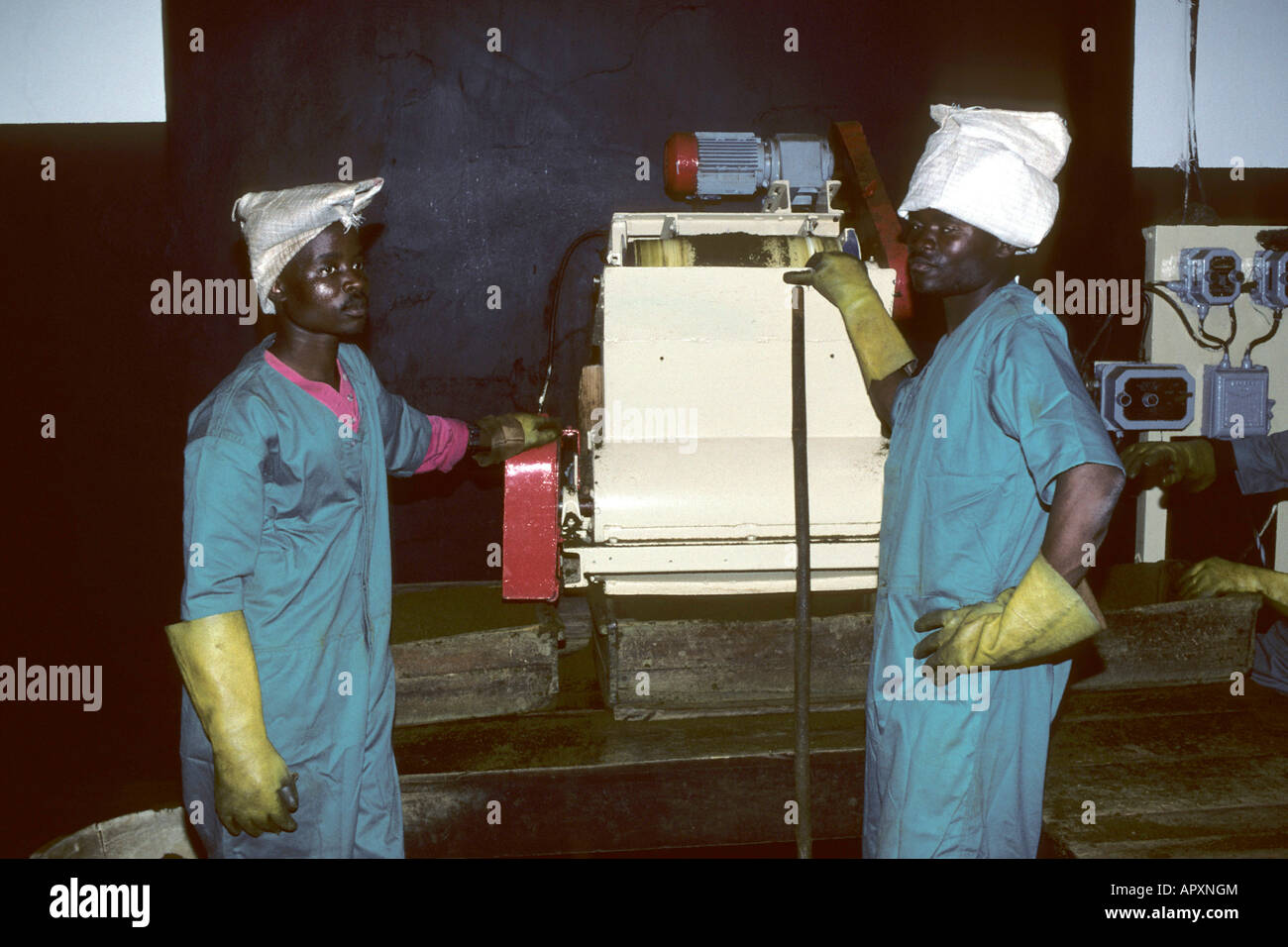 Tea production in malawi africa hi-res stock photography and images - Alamy