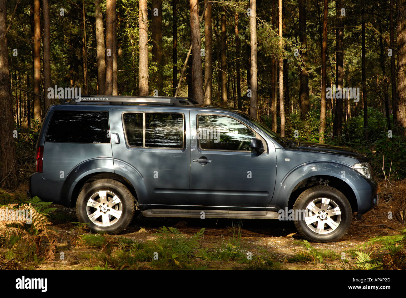 2005 Nissan Pathfinder 2 5 Tspec dci Stock Photo - Alamy
