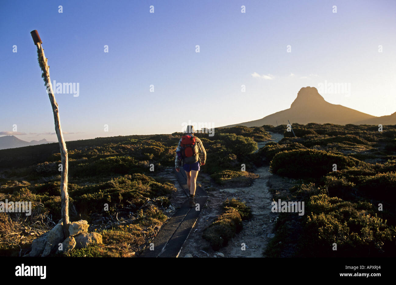 walking towards Barn Bluff on the Overland Track, Cradle Mountain ...