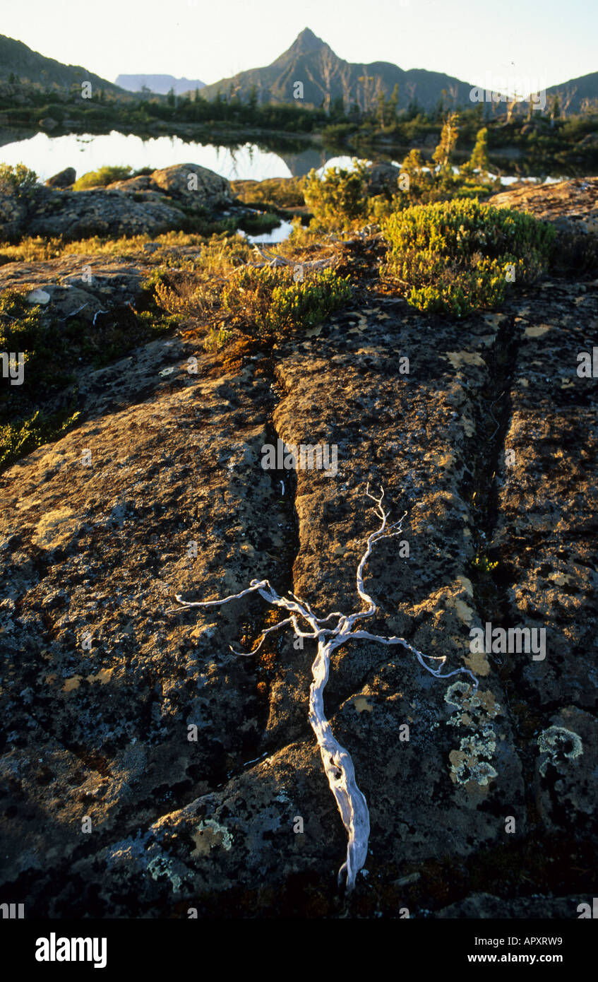 Overland Track, Cradle Mountain NP, Australia, Tasmania, The Labyrinth ...