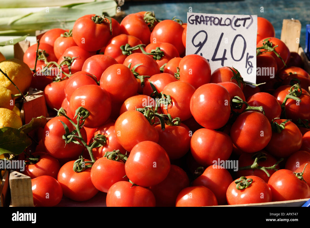 Tomatoes for Sale Market Campo De Fiori Rome Italy Stock Photo - Alamy