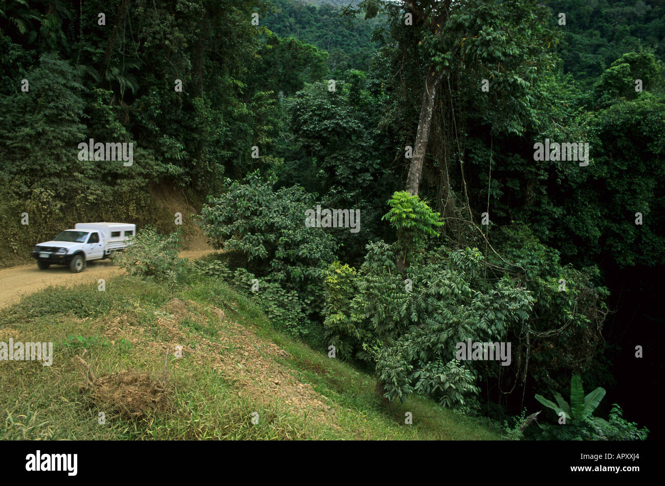 One off-road vehicle, Rainforest drive, Daintree Nature Reserve Park ...
