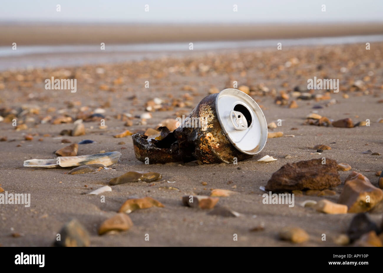 Drinks can washed up on beach Stock Photo - Alamy