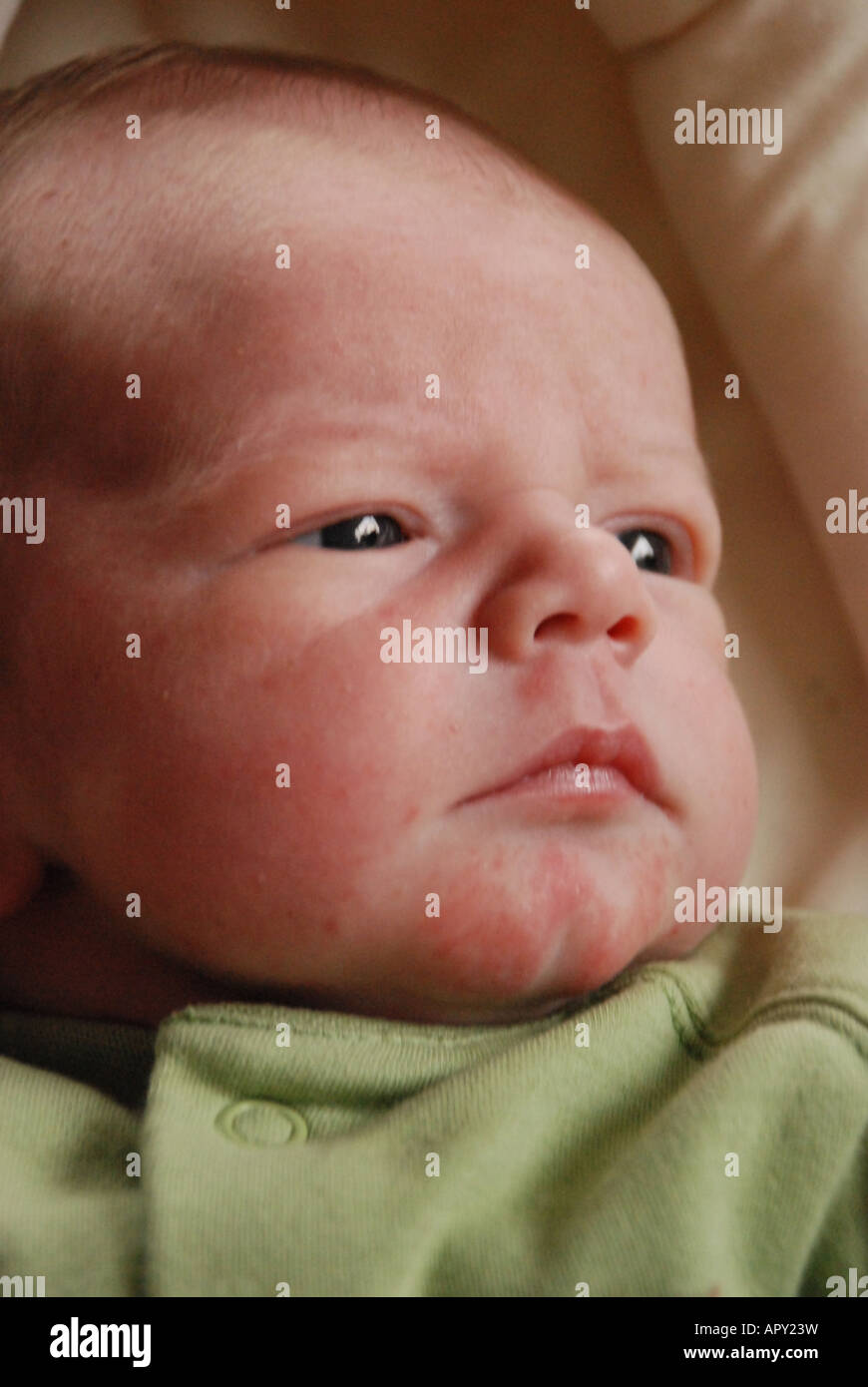 Newborn son in Contemplation Stock Photo - Alamy