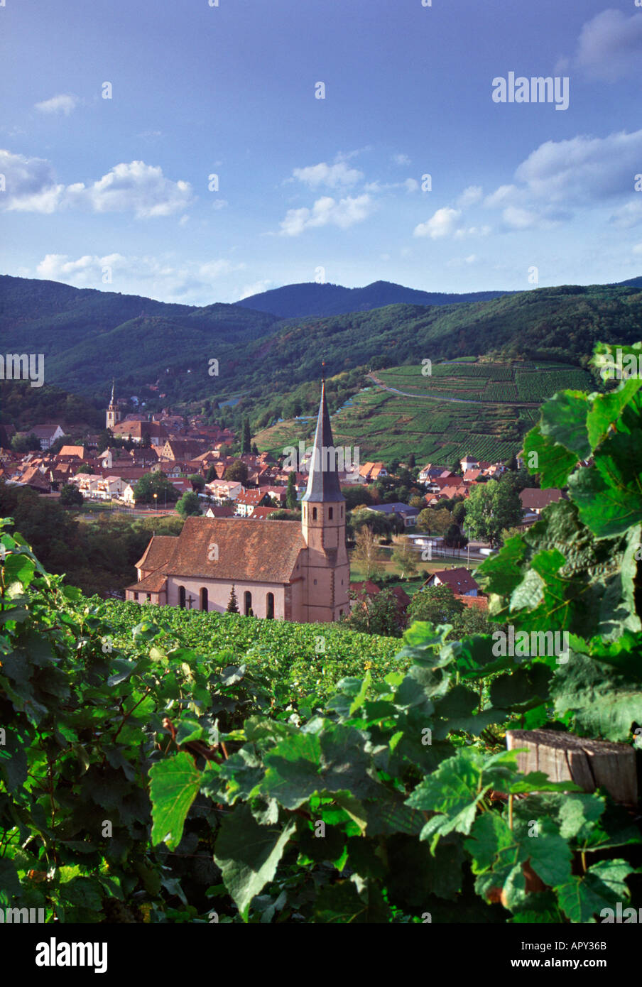 Andlau, Alsace, France Stock Photo - Alamy