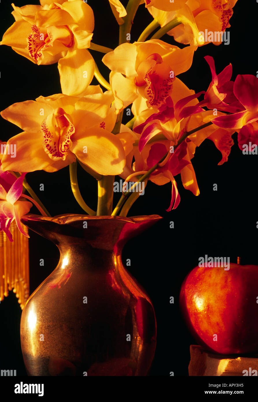 Apple orchids hi-res stock photography and images - Alamy