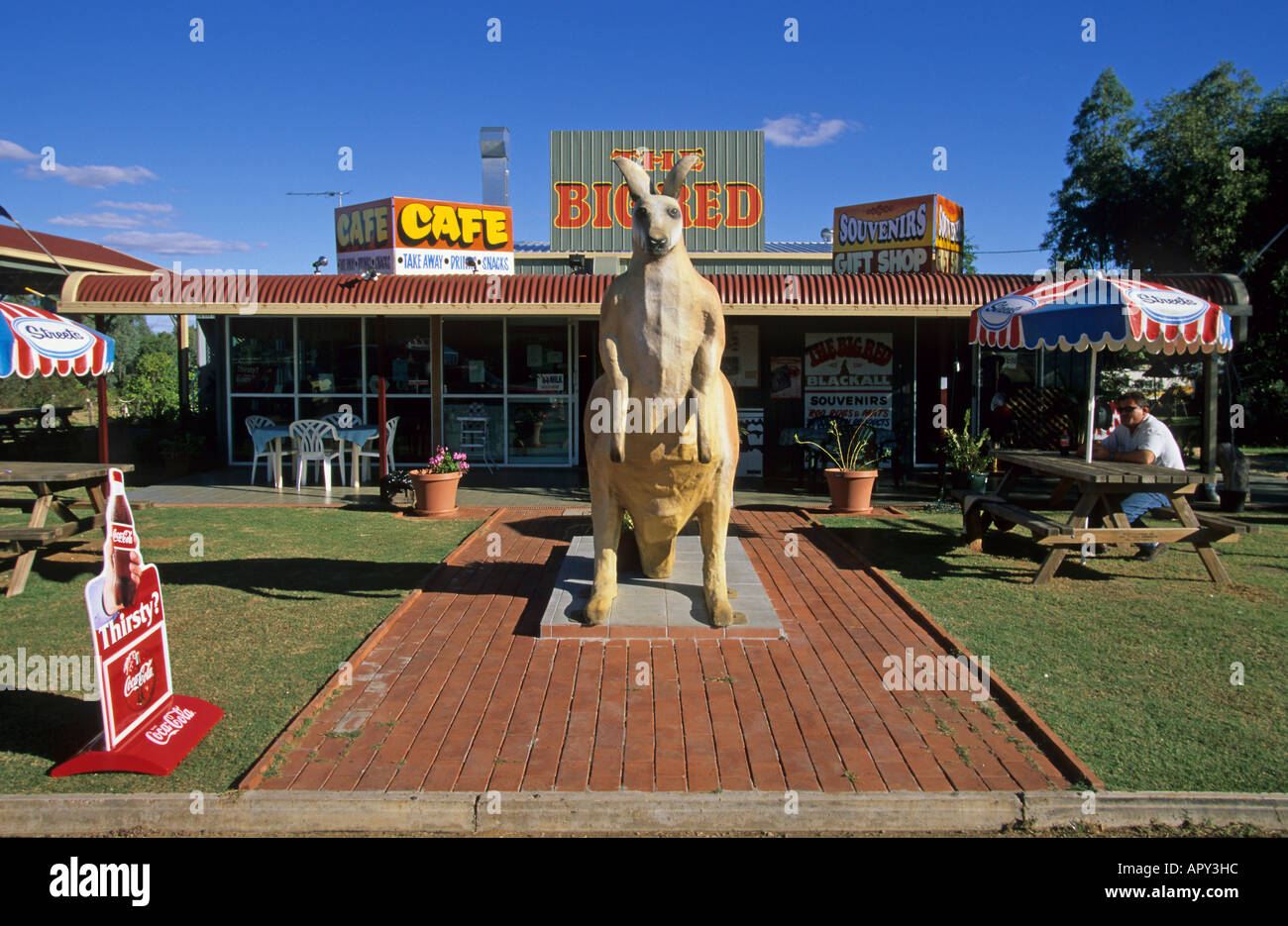 Cafe with giant red Kangaroo statue, Big Red Cafe, Matilda Highway ...