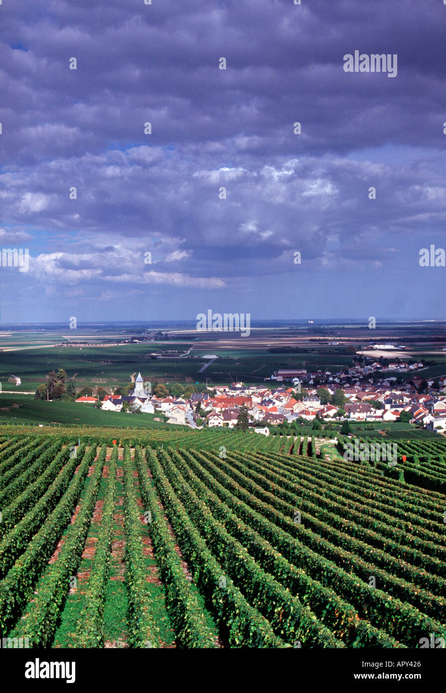 Oger hi-res stock photography and images - Alamy