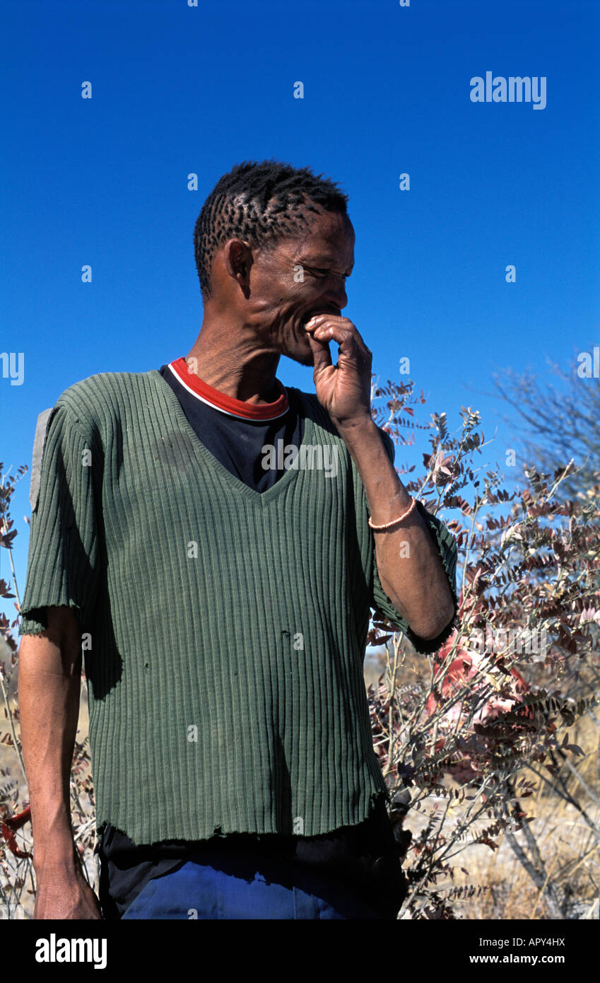 Bushmen eating hi-res stock photography and images - Alamy