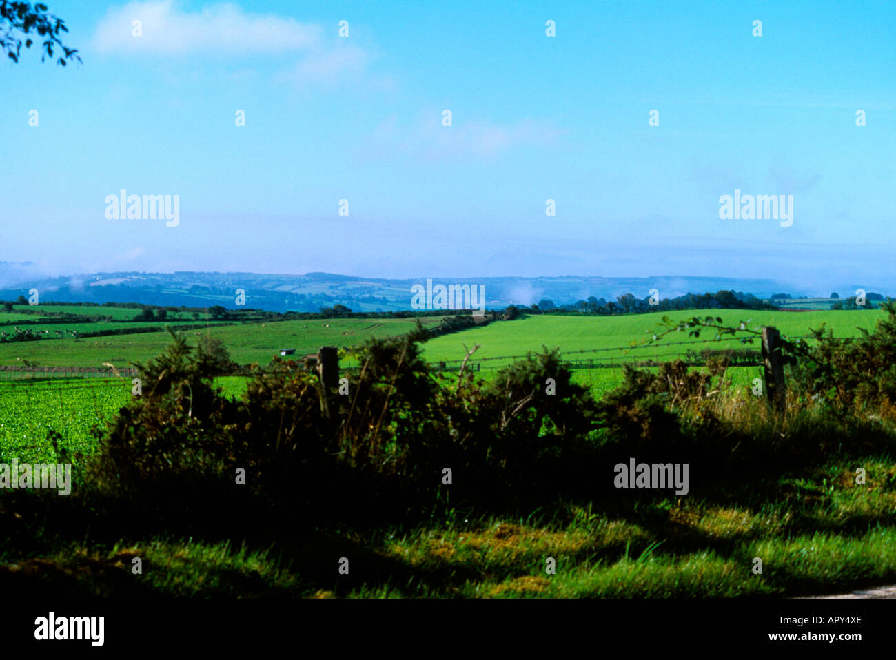 Lampeter hi-res stock photography and images - Alamy