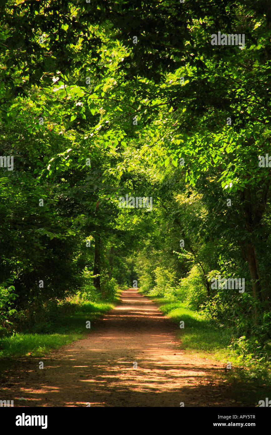 Tow Path, C and O Canal National Historic Park, Seneca, Maryland, USA ...