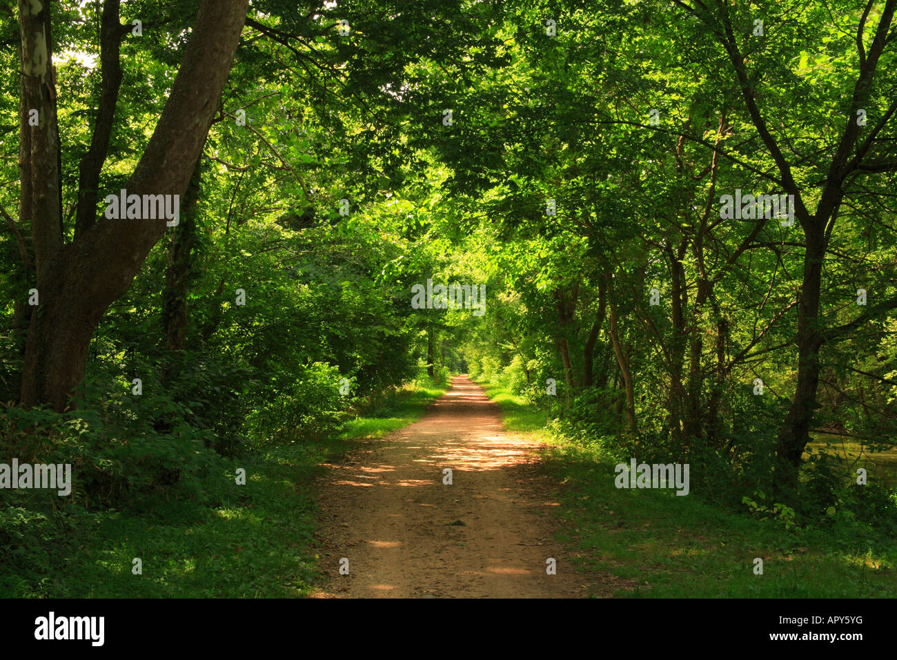 Tow Path, C and O Canal National Historic Park, Seneca, Maryland, USA ...