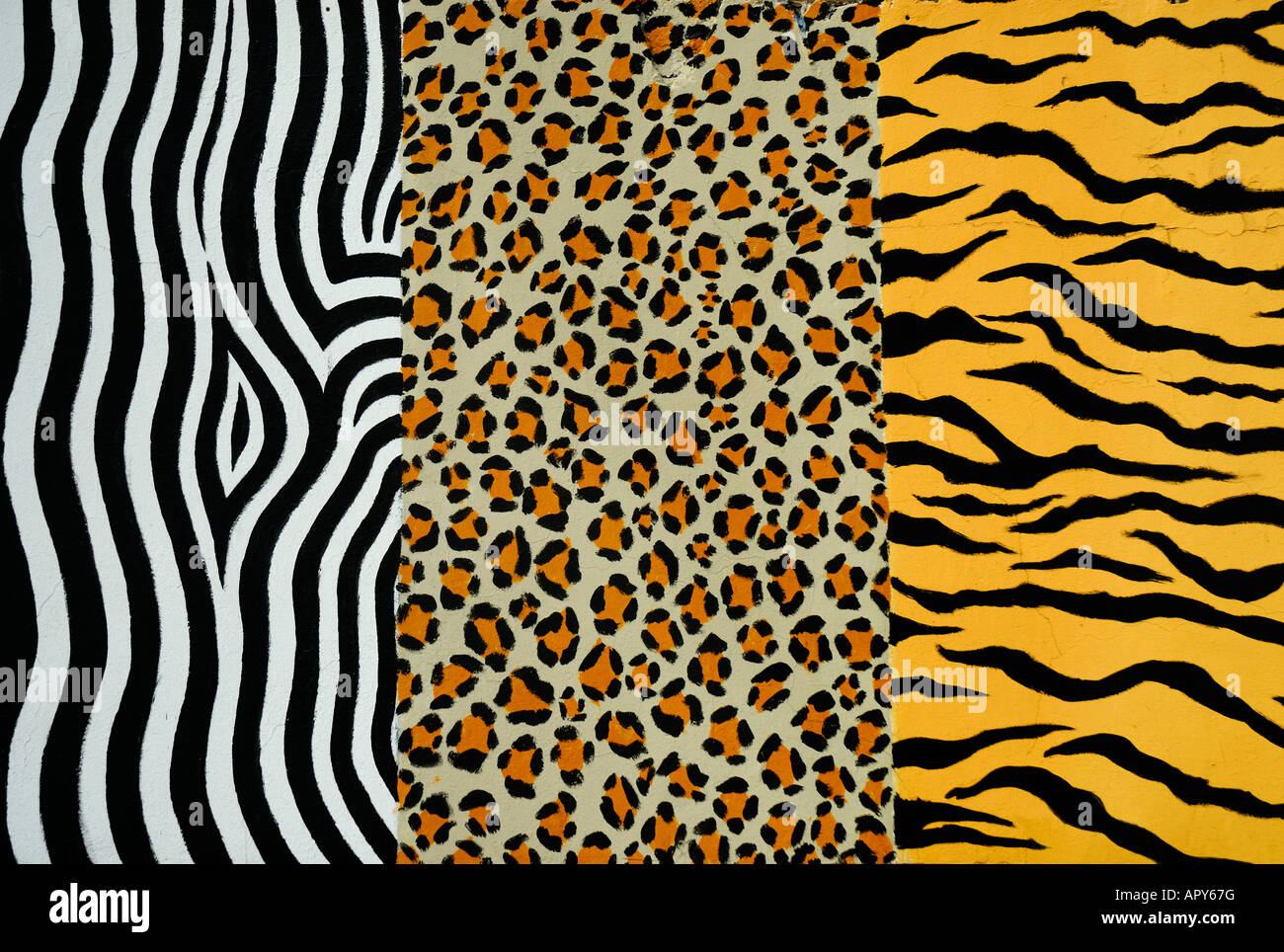 ZOO PATTERNS OF WILDLIFE ANIMALS Stock Photo - Alamy