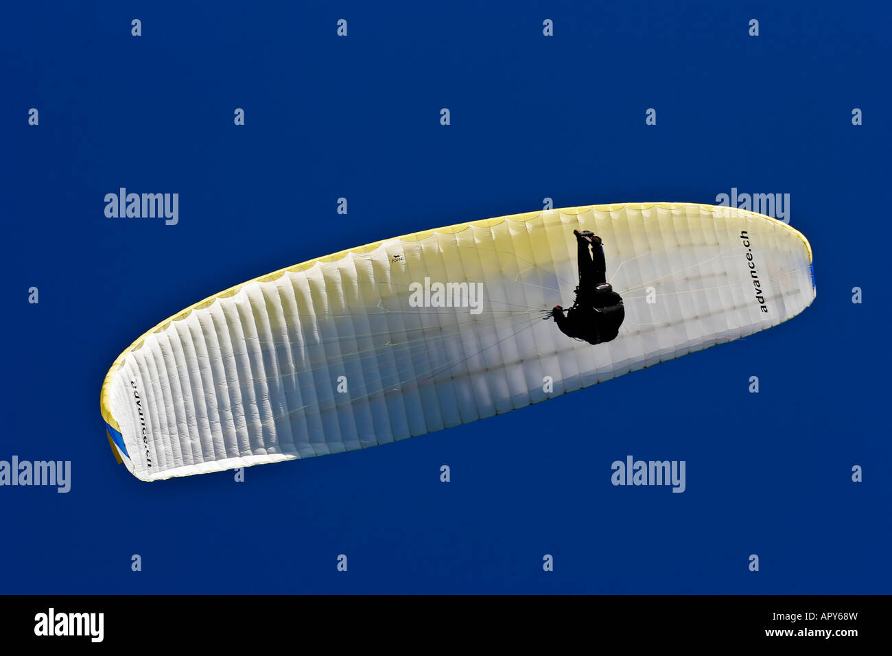 Yellow and white canopy of a paraglider seen from below against a deep ...