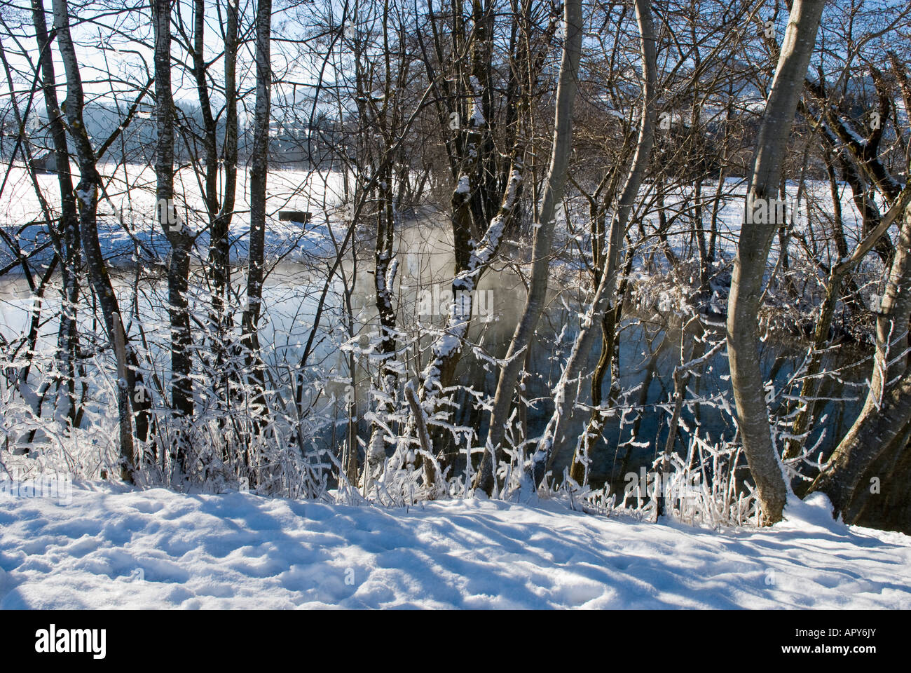 Winter landscape, between Altstaedten and Fischen Oberallgaeu Bavaria ...