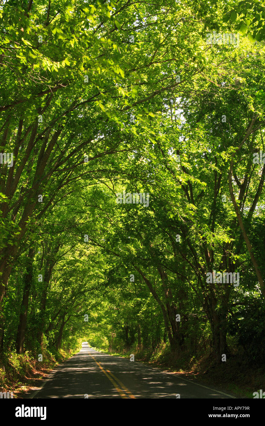 Ridge maryland hi-res stock photography and images - Alamy