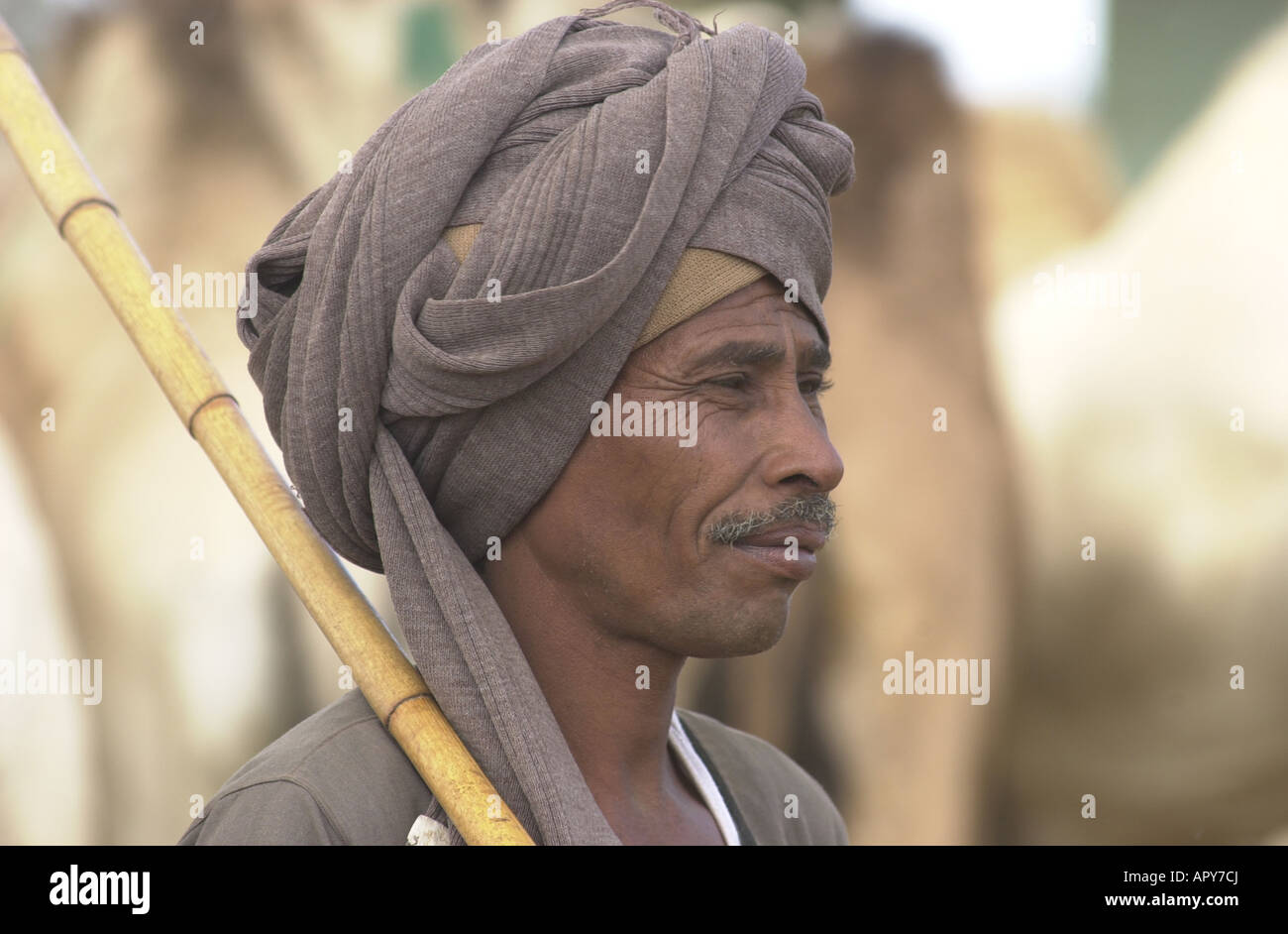 people of egypt, proud men Stock Photo - Alamy