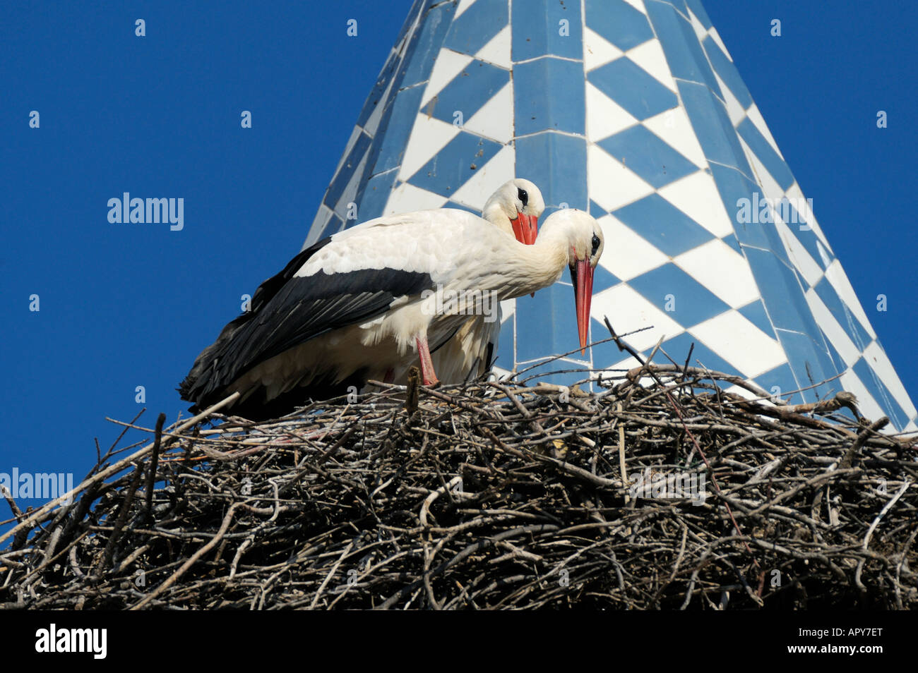 Flying stork hi-res stock photography and images - Alamy