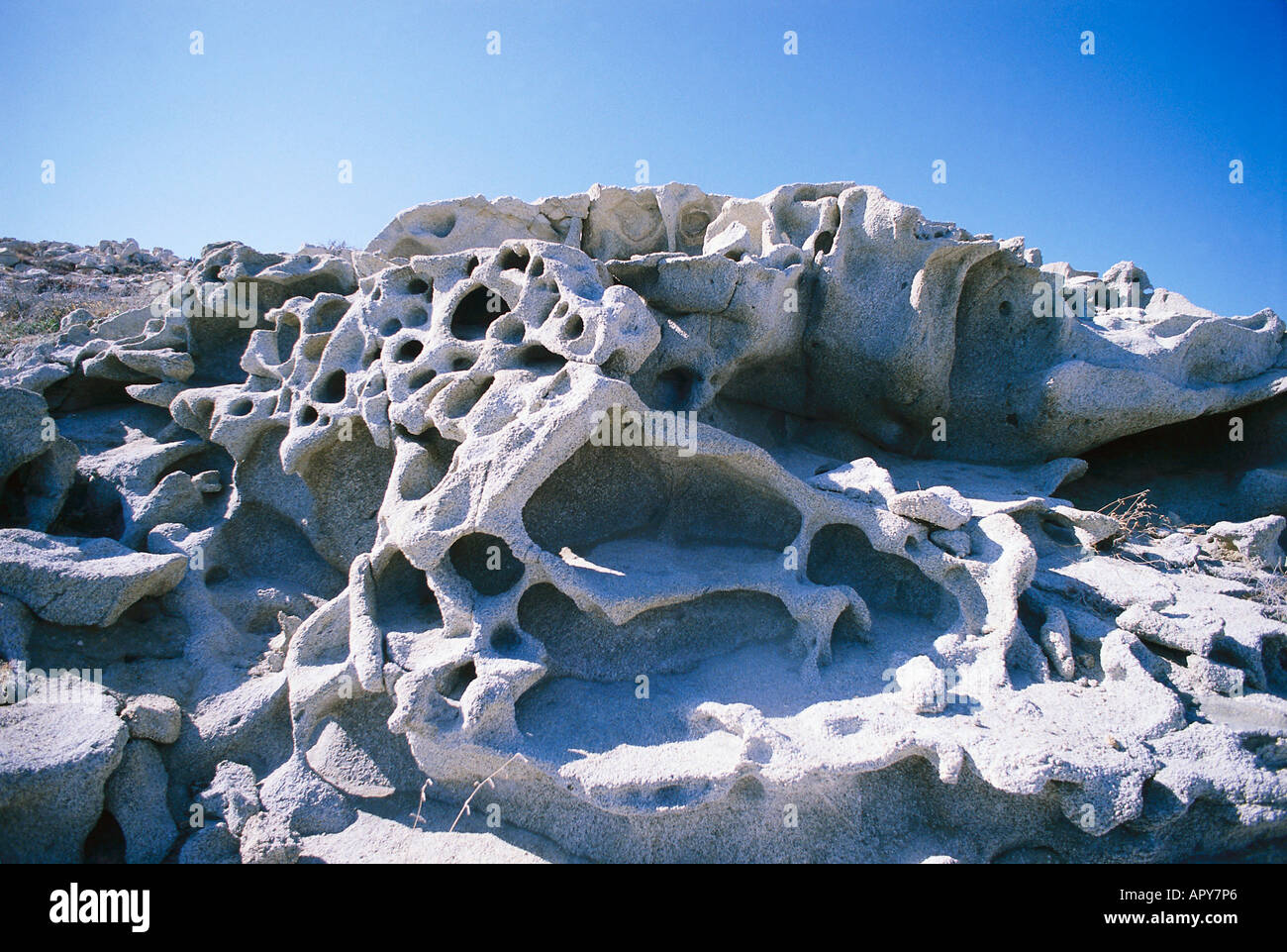Strange looking rockformation at the Beach of Mexico, USA Stock Photo ...