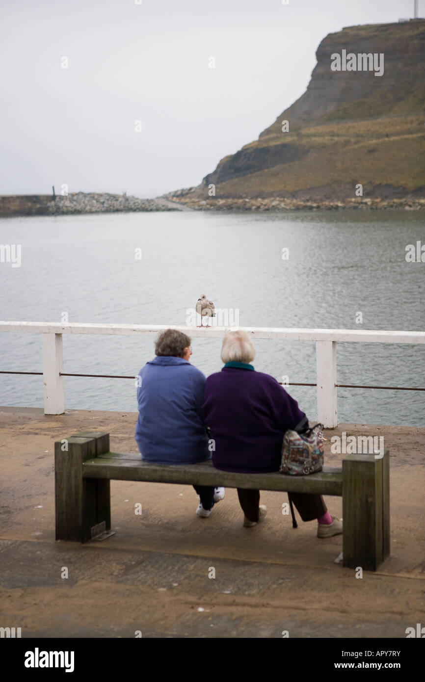 Old lady sat on bench hi-res stock photography and images - Alamy