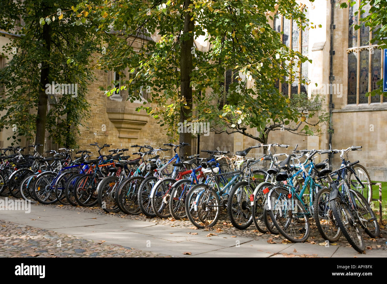 cambridge bicycles bikes pedal pushbikes student Stock Photo - Alamy