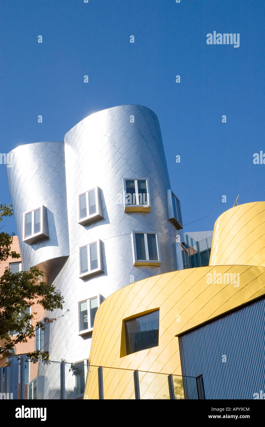 The Stata Building in MIT, Cambridge, Massachusetts Stock Photo - Alamy