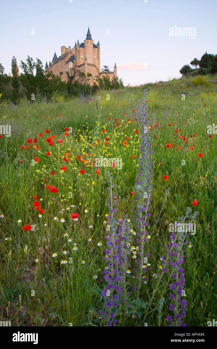 Made in castile león hi-res stock photography and images - Alamy