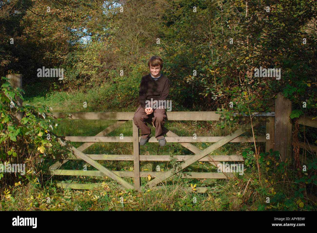 Boy on gate hi-res stock photography and images - Alamy