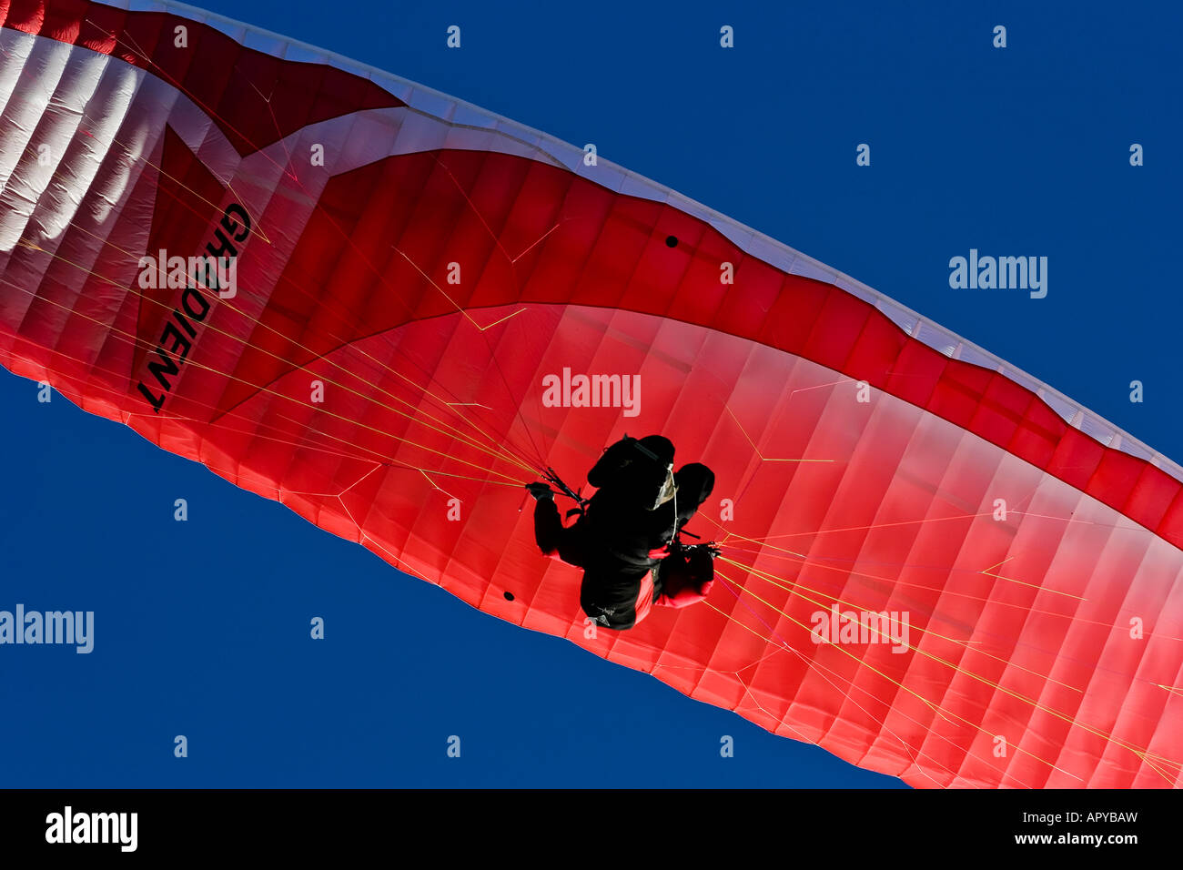 Canopy paraglider above hi-res stock photography and images - Alamy