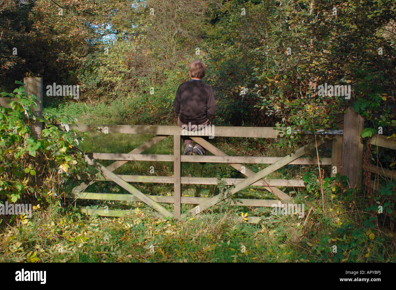Boy on gate hi-res stock photography and images - Alamy