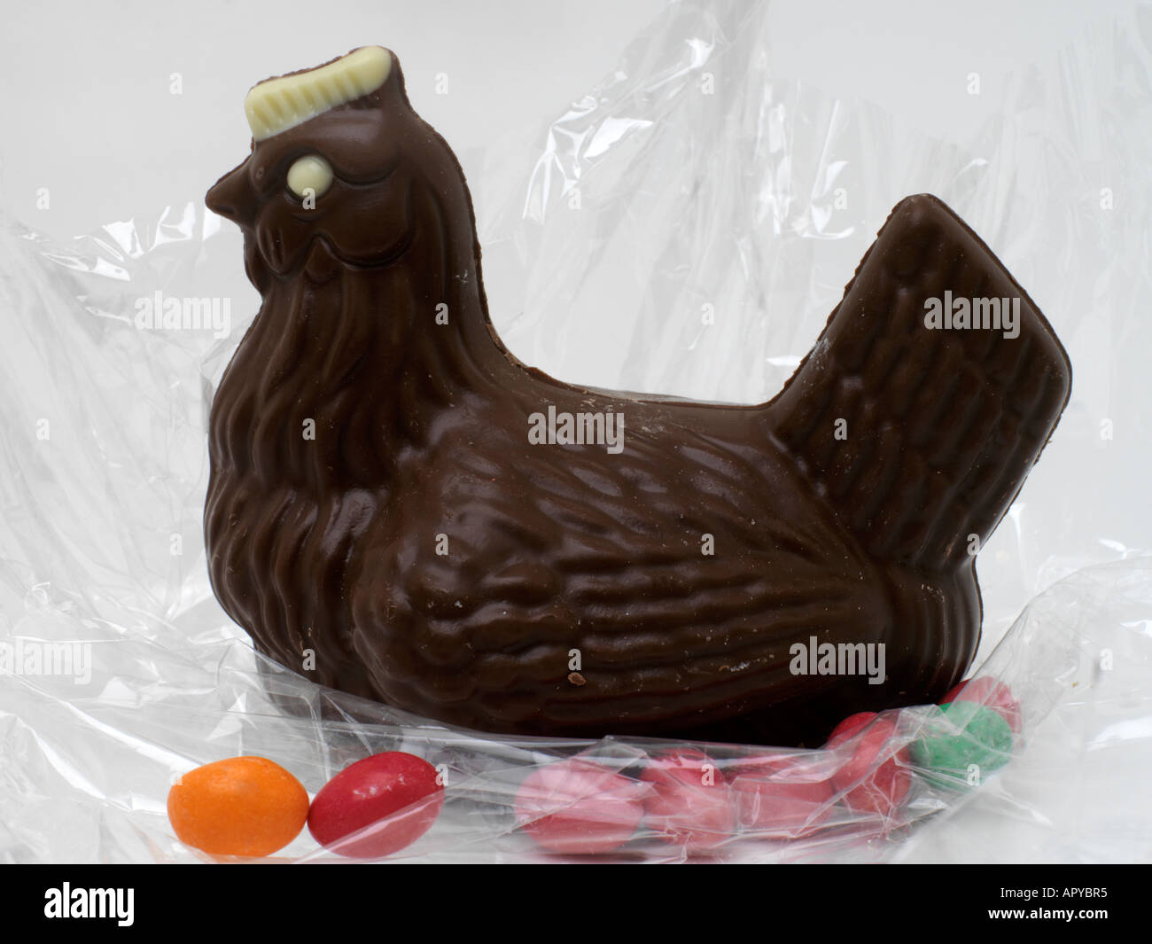 Chocolate Hen with Eggs Stock Photo - Alamy