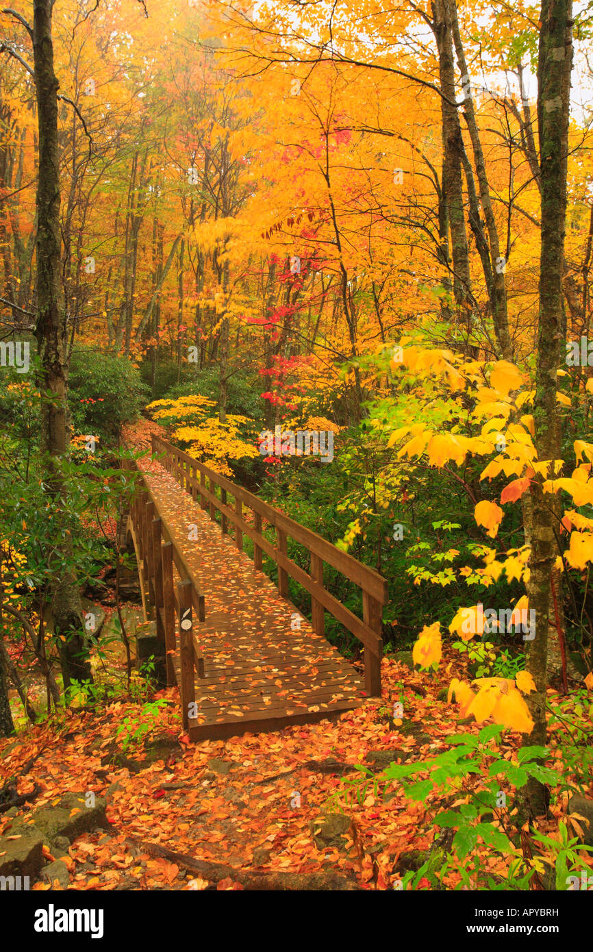 Bridge of Boone Fork, Tanawha Trail, Blue Ridge Parkway, North Carolina ...