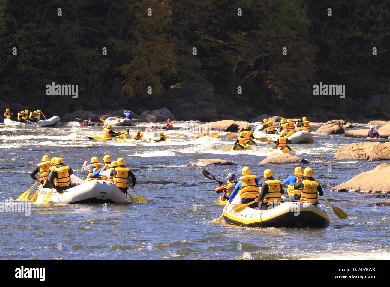 Rafting below Ohiopyle Falls, Youghiogheny River, Ohiopyle State Park ...