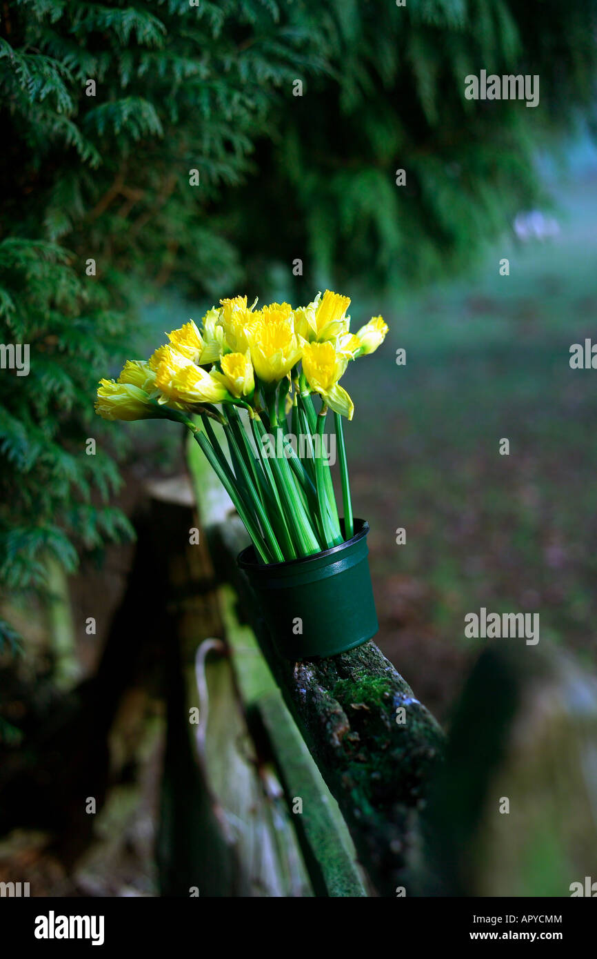 Hortus third hi-res stock photography and images - Alamy