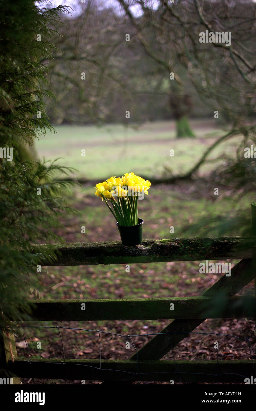 Hortus third hi-res stock photography and images - Alamy