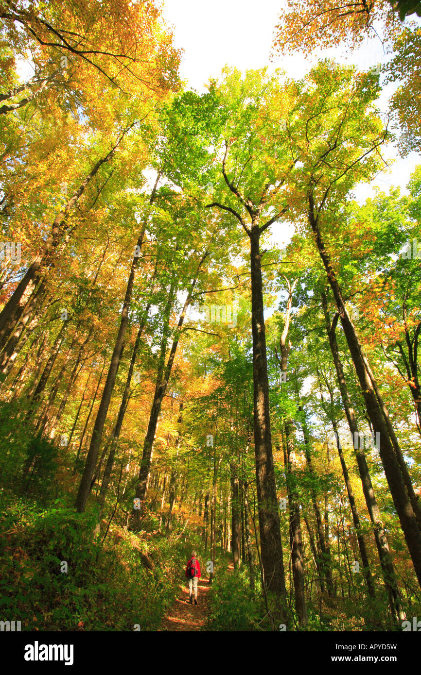 Raven cliff falls hi-res stock photography and images - Alamy
