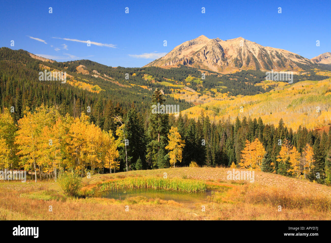 East Beckwith Mountain, Kebler Pass, Crested Butte, Colorado, USA Stock ...