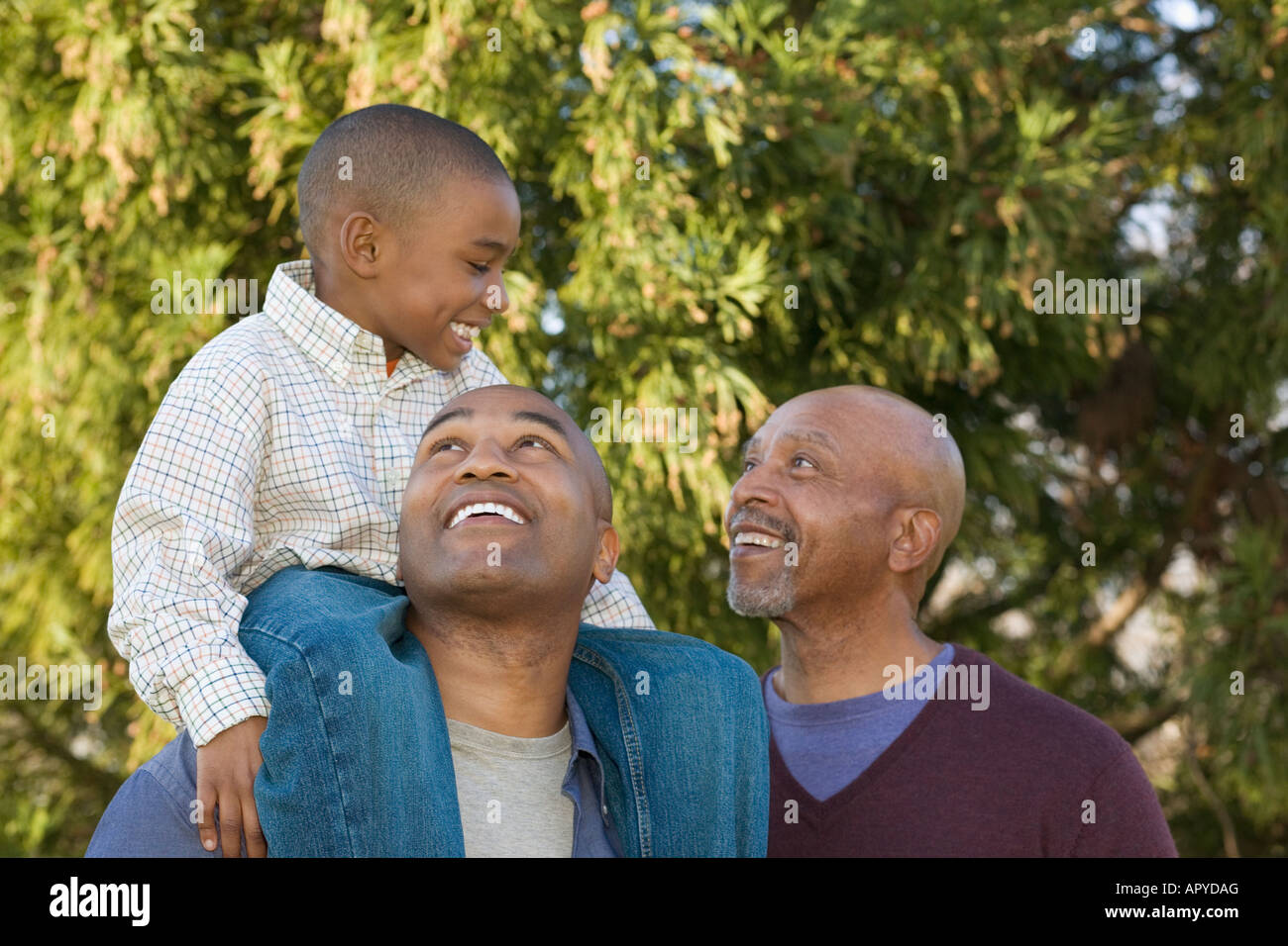 African grandfather, father and son in park Stock Photo - Alamy